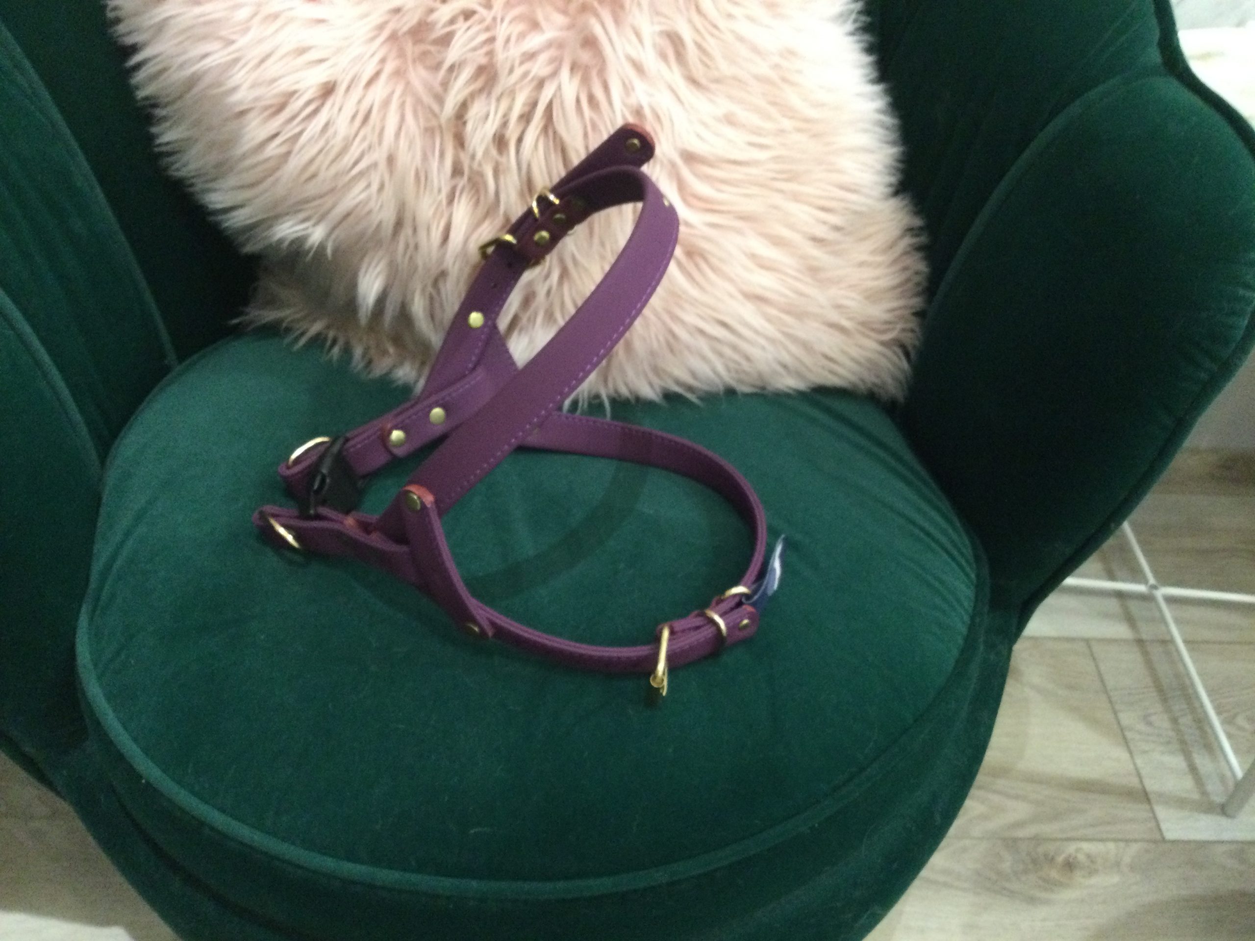 雙環款 紫LHY(XL) - J'Tails Select小捲尾選品