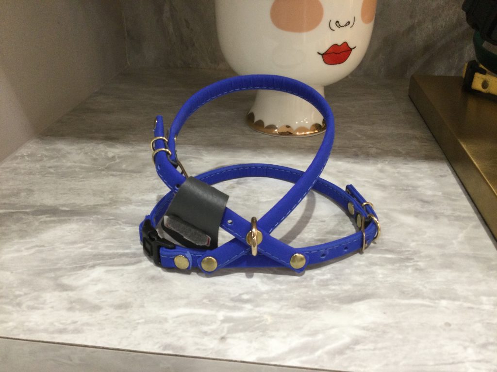 休閒款 寶藍LBV(S) - J'Tails Select小捲尾選品