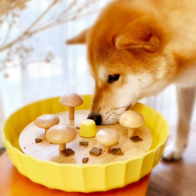 DogeDaddy｜秘密花園趣食碗系列 - J'Tails Select小捲尾選品