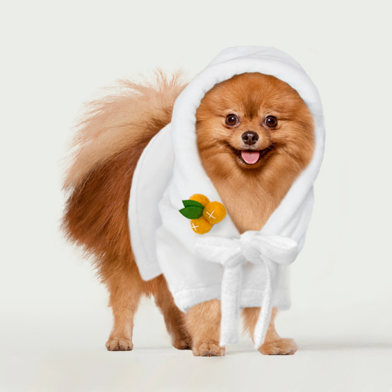 J‘tails｜浴袍 - J'Tails Select小捲尾選品